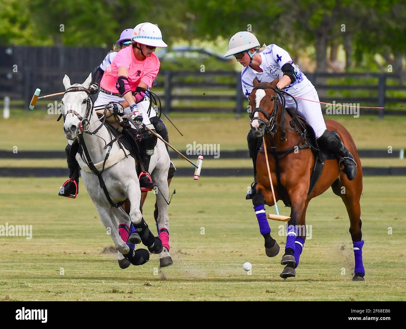 DUNDAS VS ICONICA 2021 WOMENS POLO CHAMPIONSHIPS, held in Port Mayaca ...