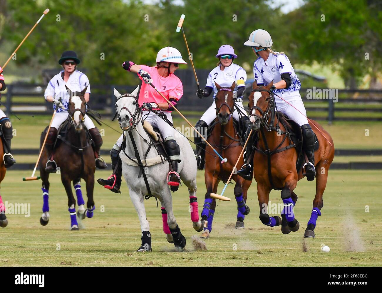 DUNDAS VS ICONICA 2021 WOMENS POLO CHAMPIONSHIPS, held in Port Mayaca ...