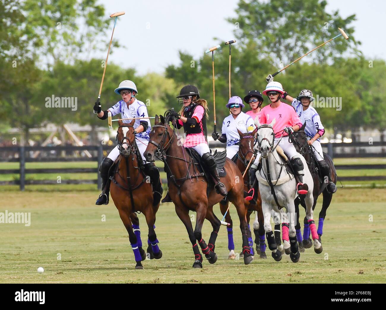 Sarah Sanchez High Resolution Stock Photography and Images - Alamy