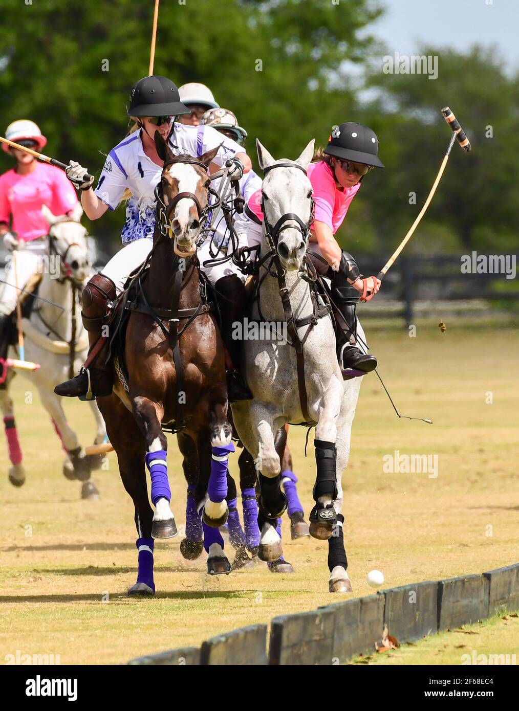DUNDAS VS ICONICA 2021 WOMENS POLO CHAMPIONSHIPS, held in Port Mayaca ...