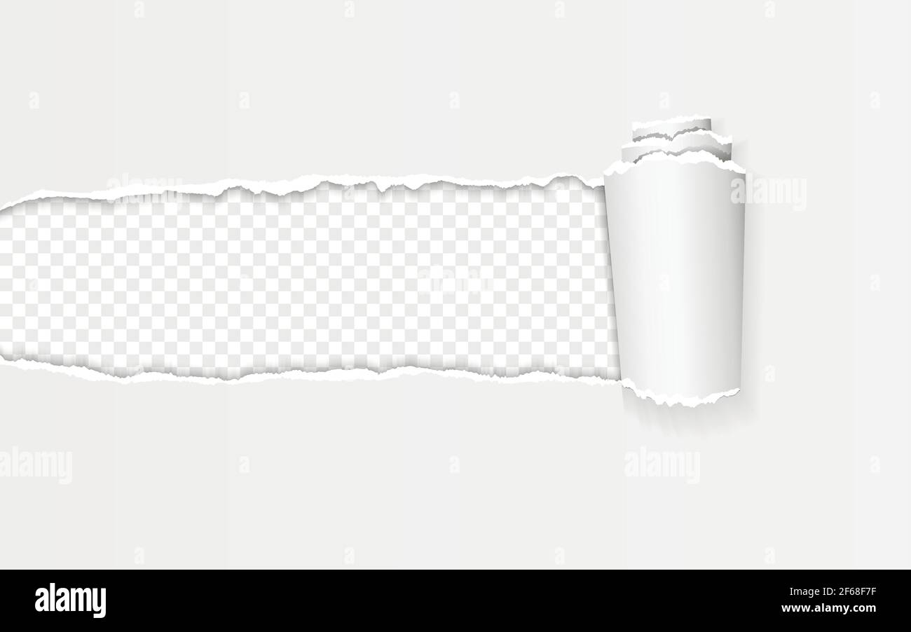 Torn and twisted paper strip with ripped edges on transparent ...