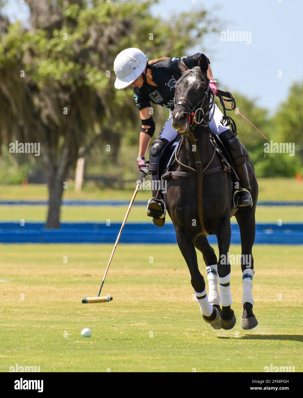 Sarah siegel magness hi-res stock photography and images - Alamy
