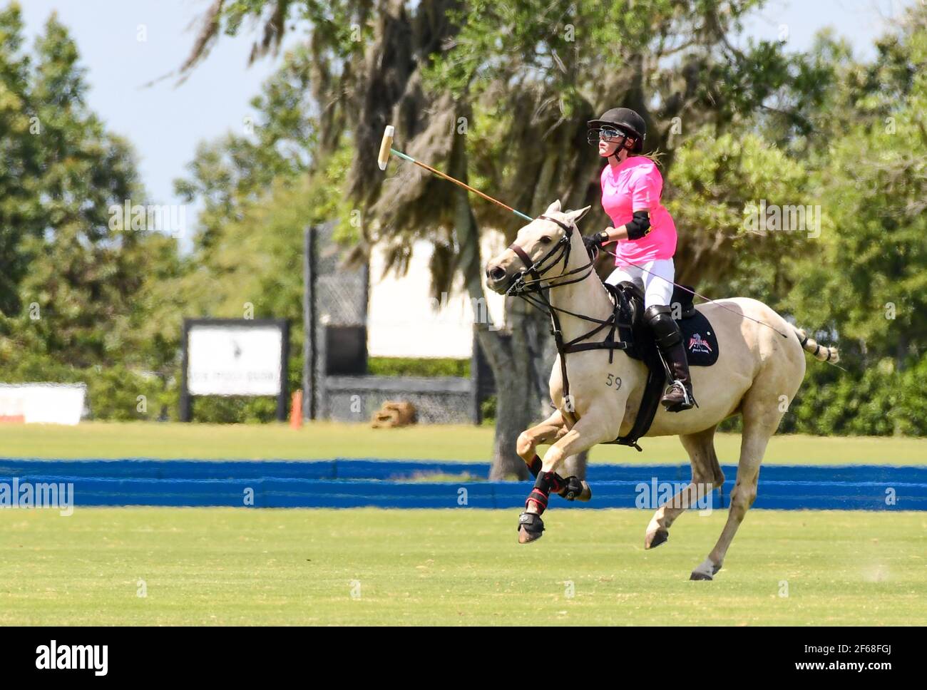 Sarah siegel magness hi-res stock photography and images - Alamy