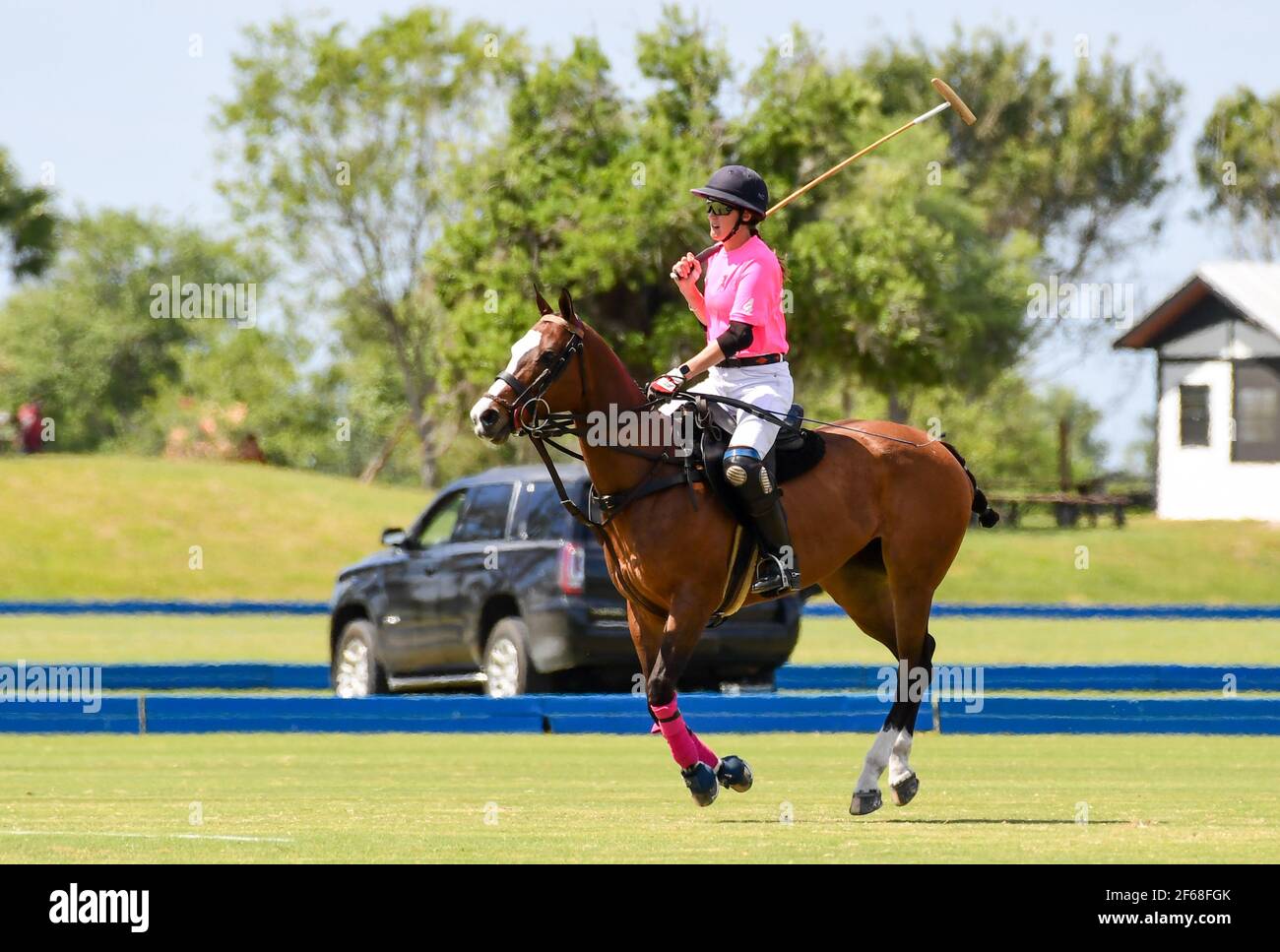 Sarah siegel magness hi-res stock photography and images - Alamy