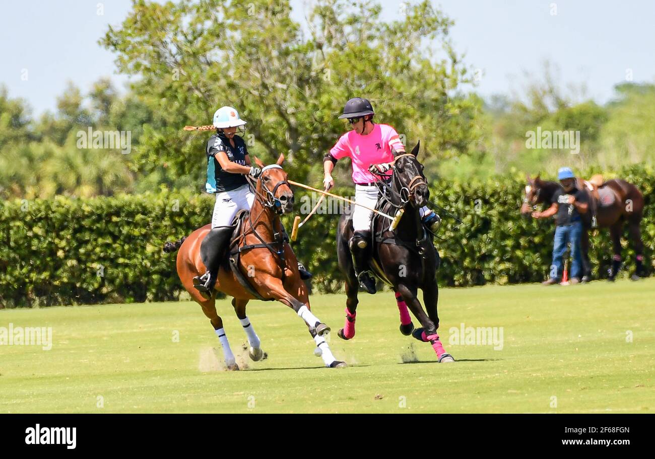 Sarah siegel magness hi-res stock photography and images - Alamy