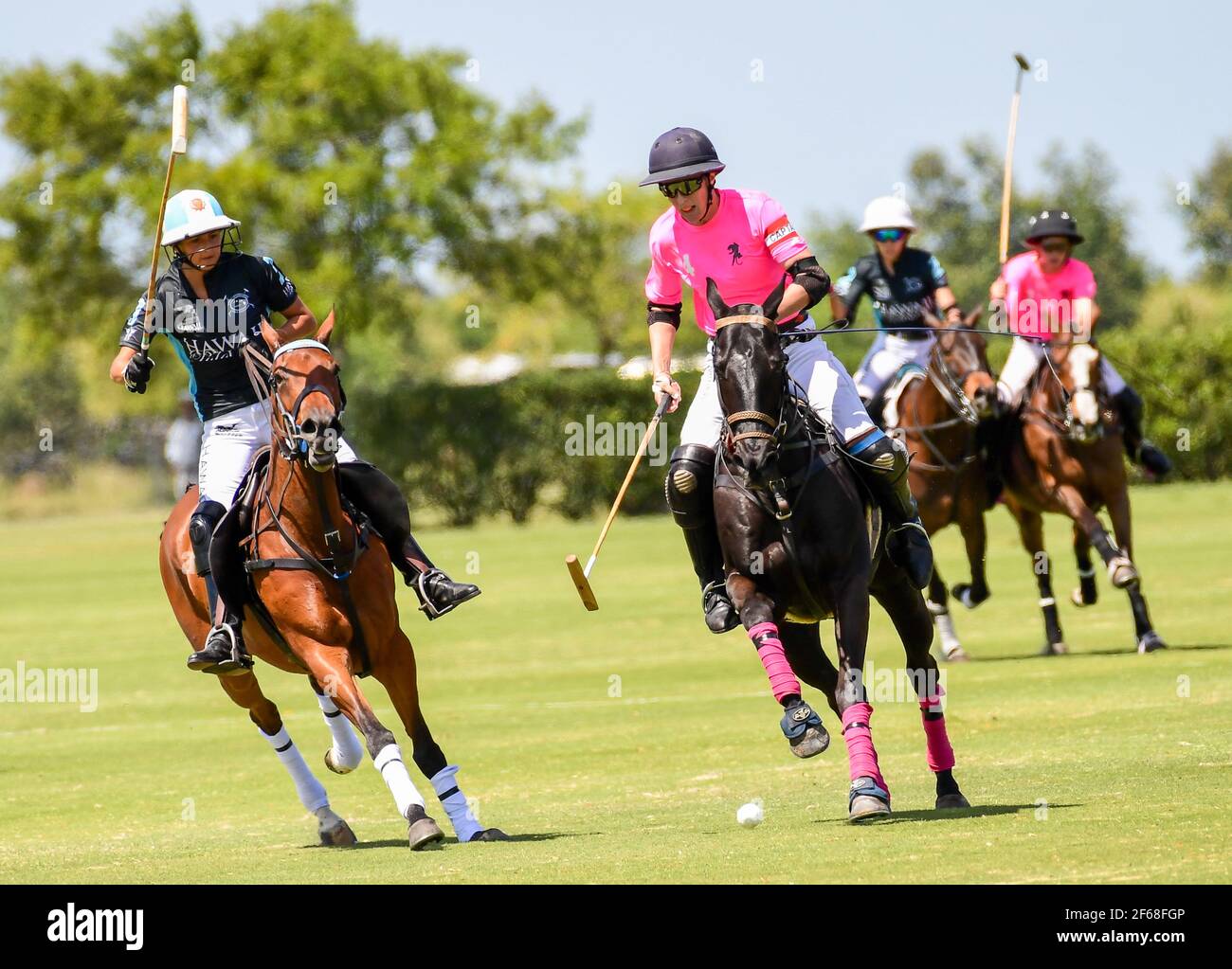 Sarah siegel magness hi-res stock photography and images - Alamy