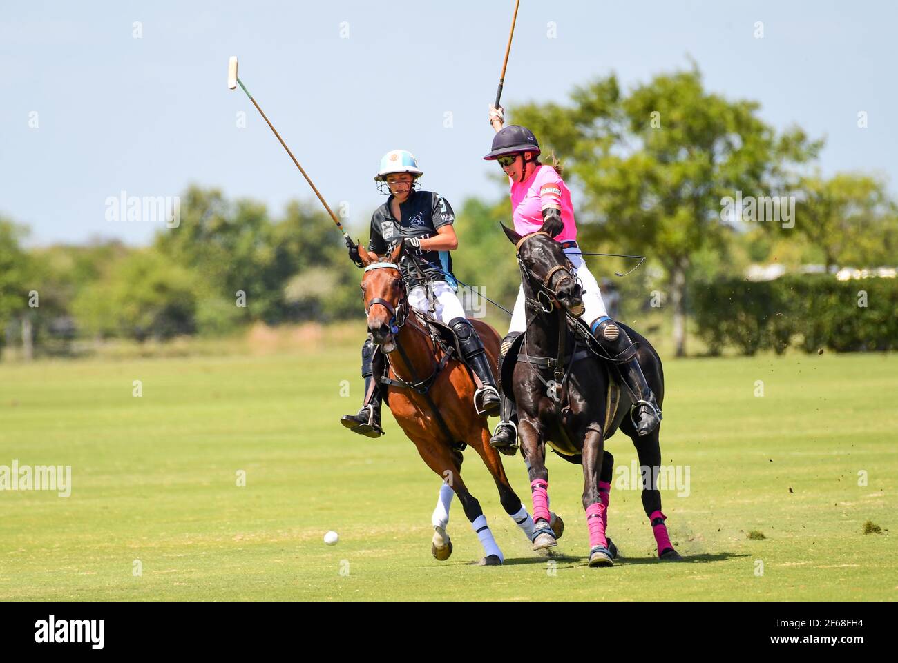 Sarah siegel magness hi-res stock photography and images - Alamy