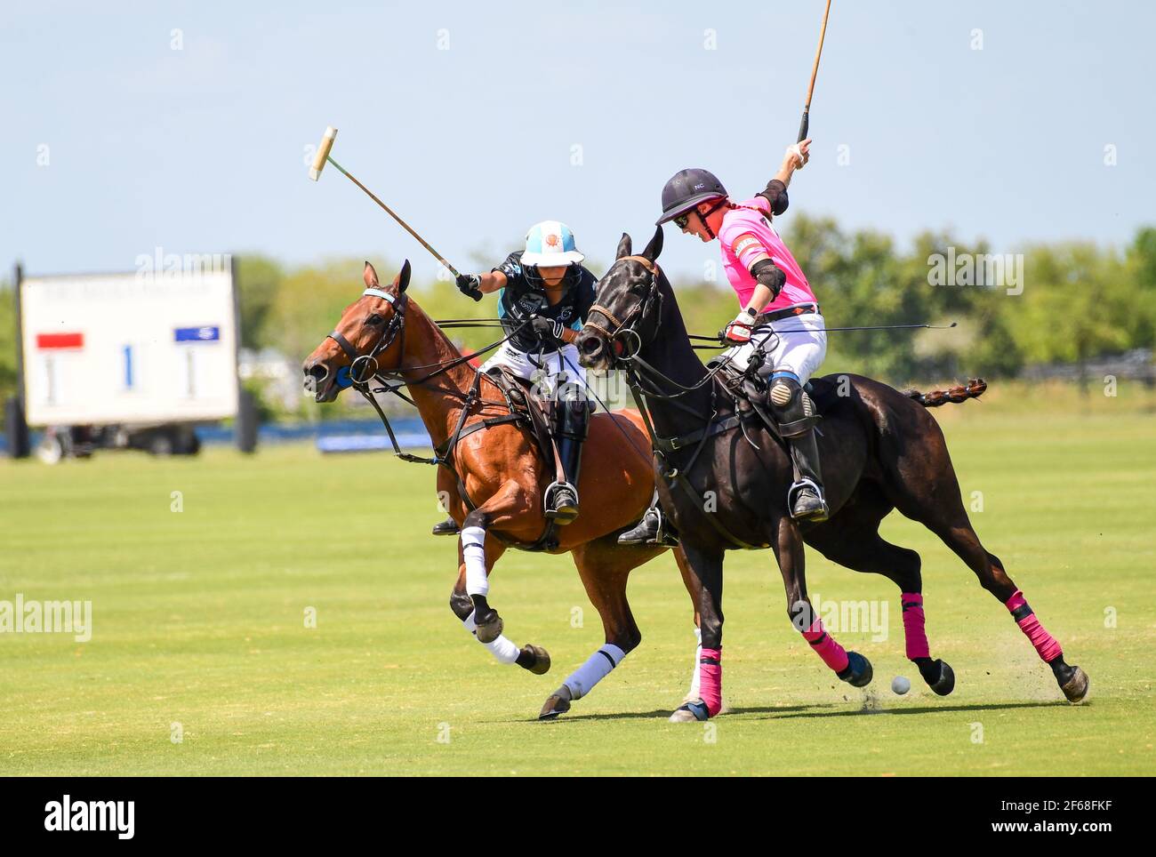 Sarah siegel magness hi-res stock photography and images - Alamy