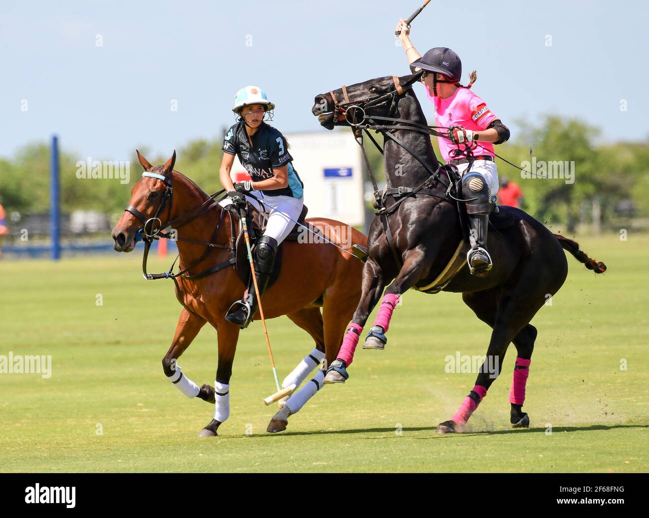 Sarah siegel magness hi-res stock photography and images - Alamy