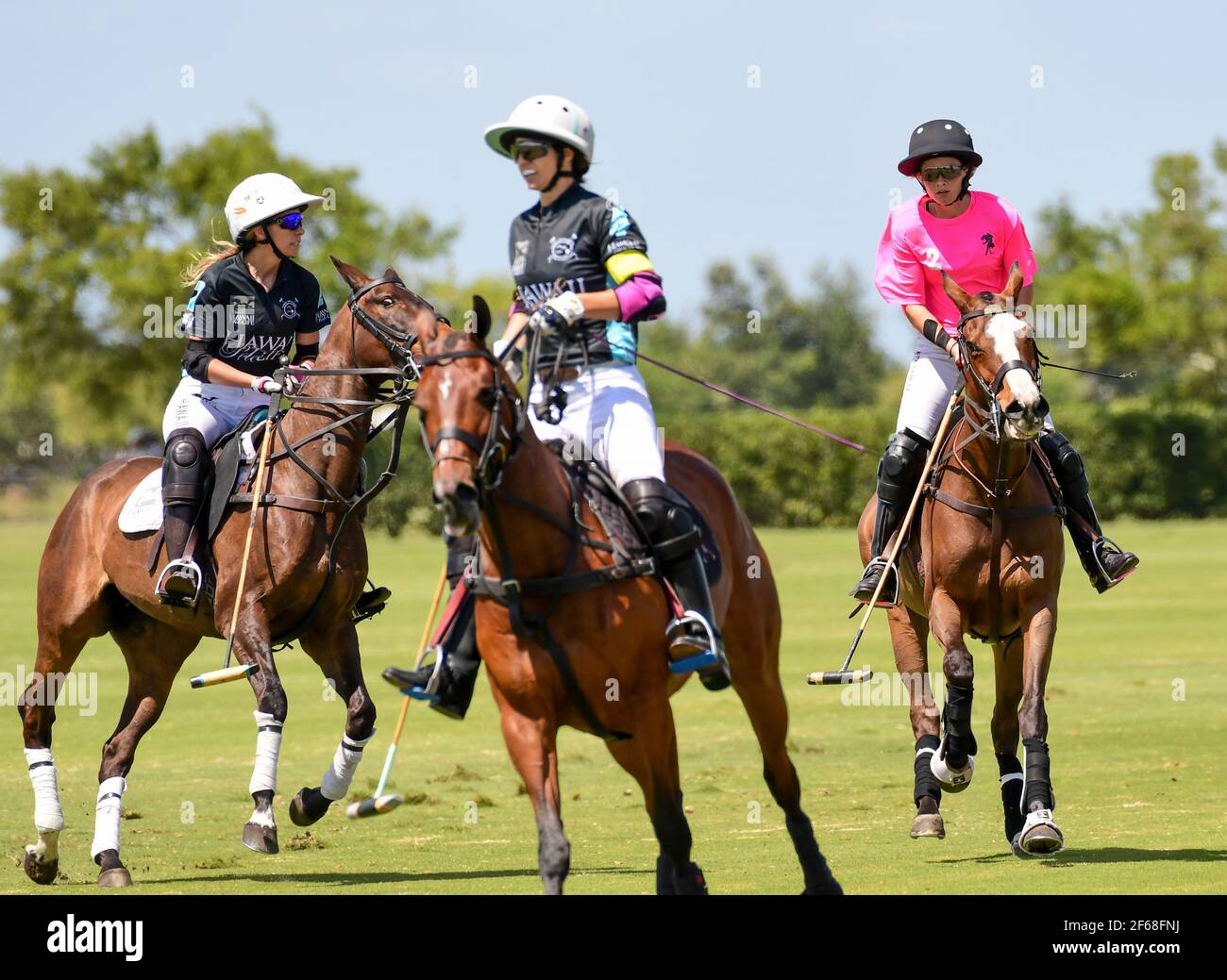 Siegel magness hi-res stock photography and images - Alamy