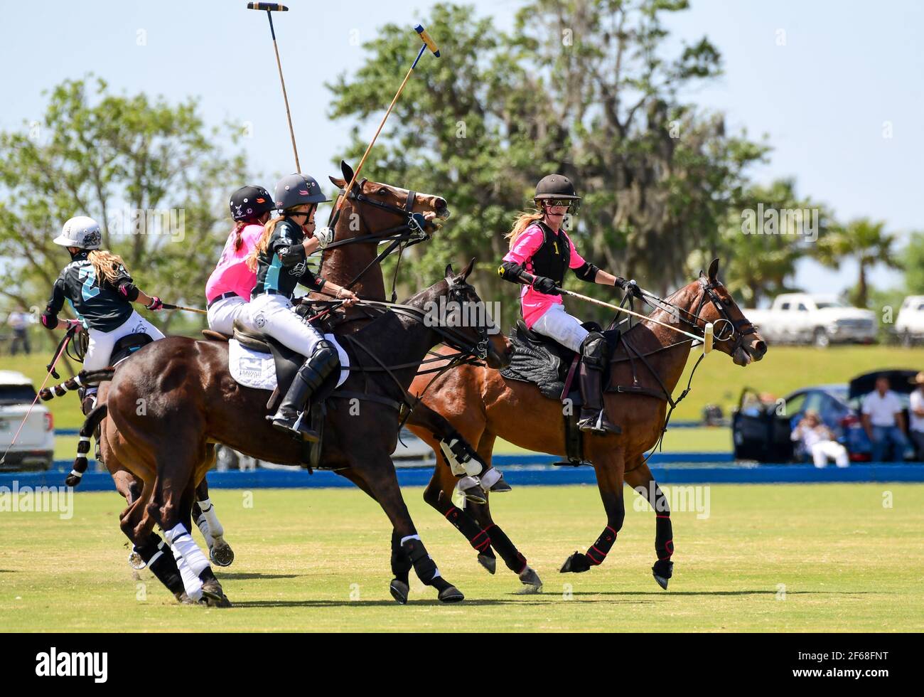 Sarah siegel magness hi-res stock photography and images - Alamy