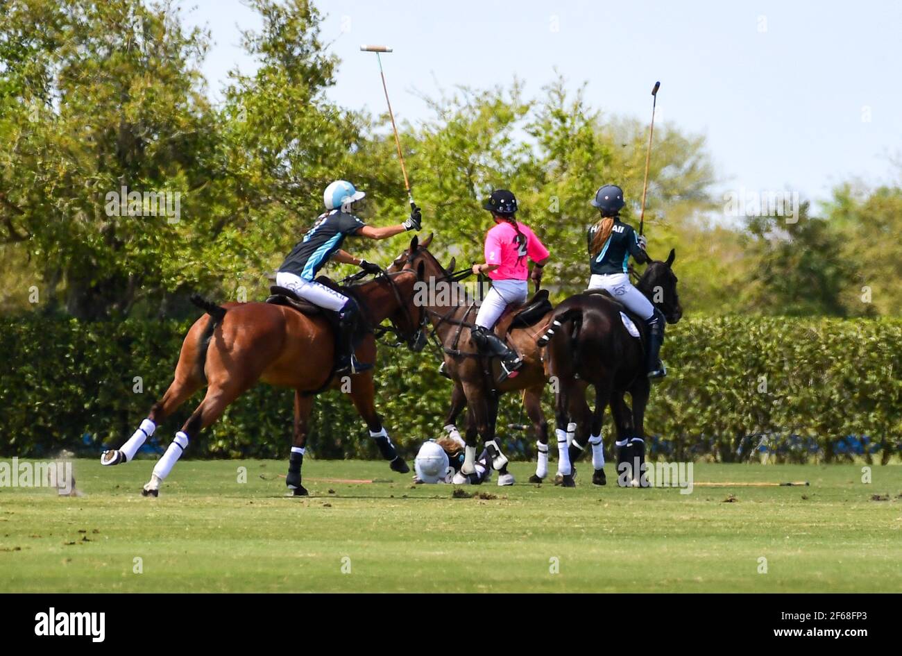 Hazel jackson polo hi-res stock photography and images - Alamy