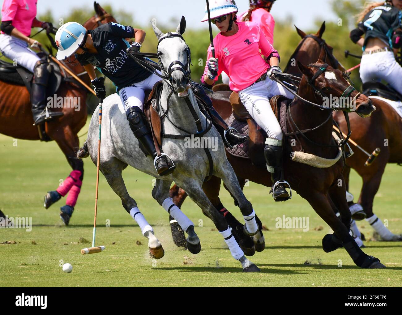 Sarah siegel magness hi-res stock photography and images - Alamy