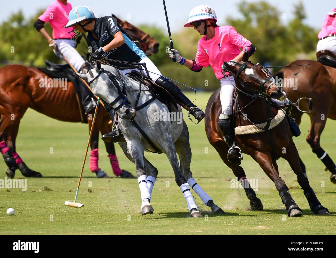 Sarah siegel magness hi-res stock photography and images - Alamy