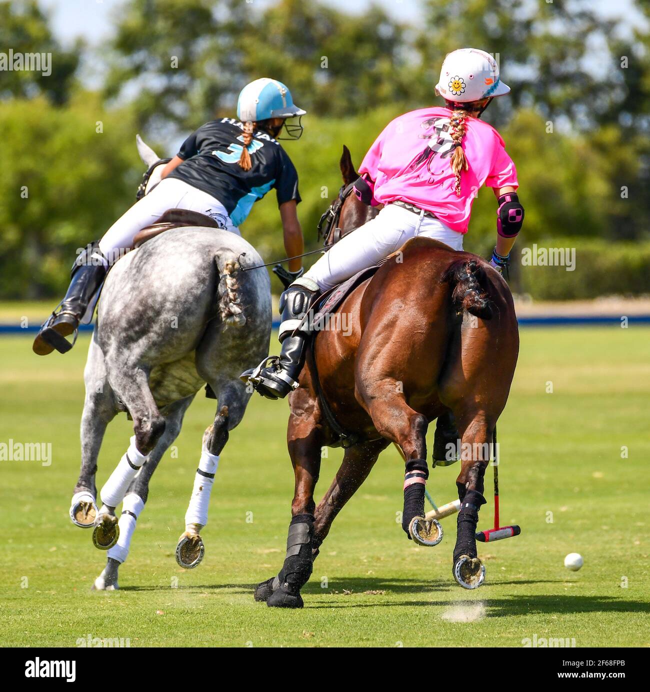 Sarah siegel magness hi-res stock photography and images - Alamy