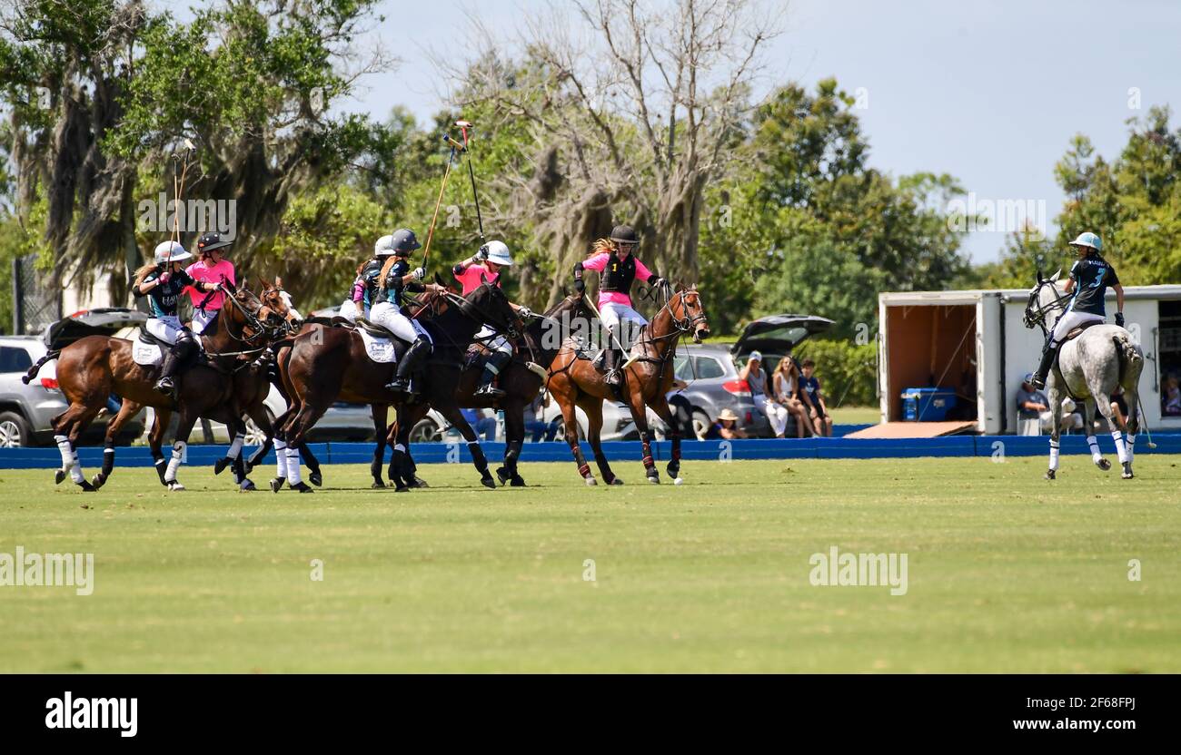 Sarah siegel magness hi-res stock photography and images - Alamy