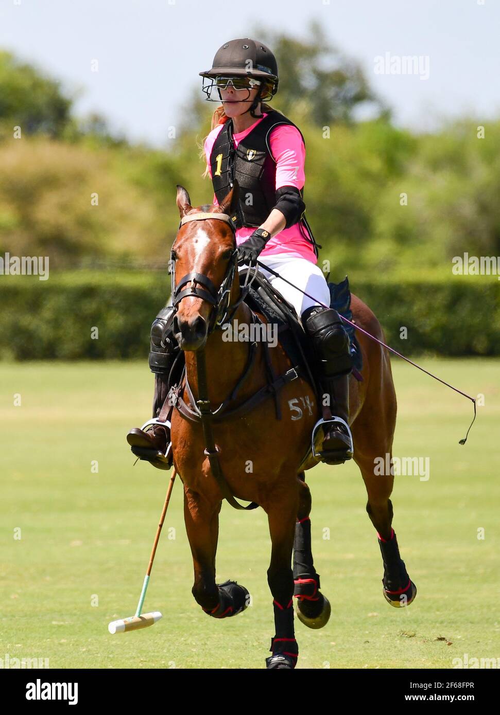 Sarah siegel magness hi-res stock photography and images - Alamy