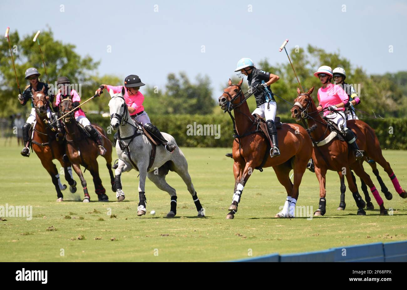 Sarah siegel magness hi-res stock photography and images - Alamy