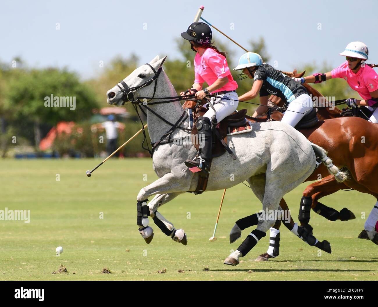 Sarah siegel magness hi-res stock photography and images - Alamy