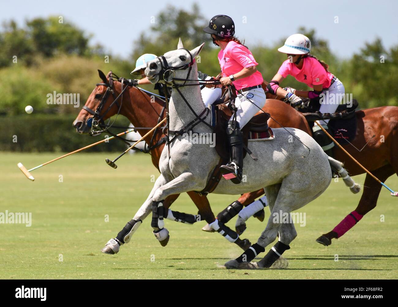DUNDAS VS HAWAII POLO LIFE 2021 WOMENS POLO CHAMPIONSHIPS, held in Port ...