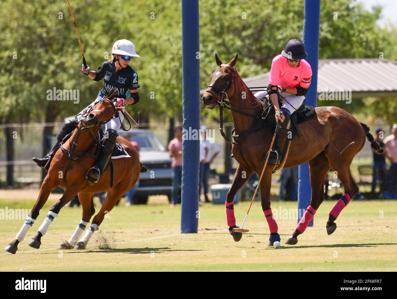 Sarah siegel magness hi-res stock photography and images - Alamy