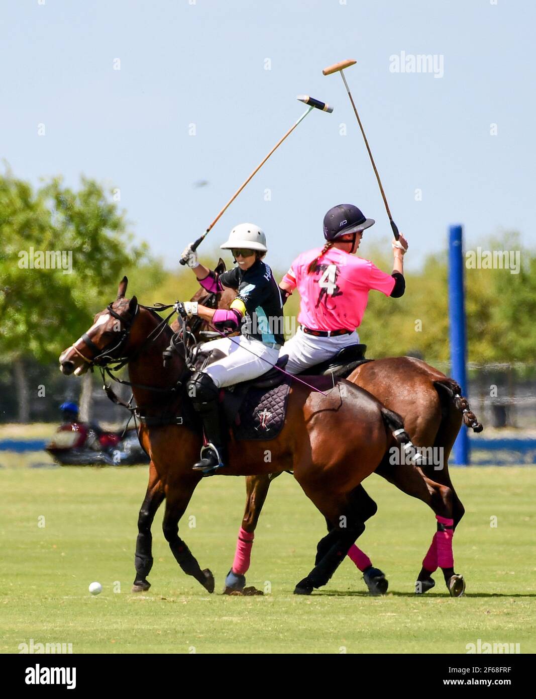 Siegel magness hi-res stock photography and images - Alamy