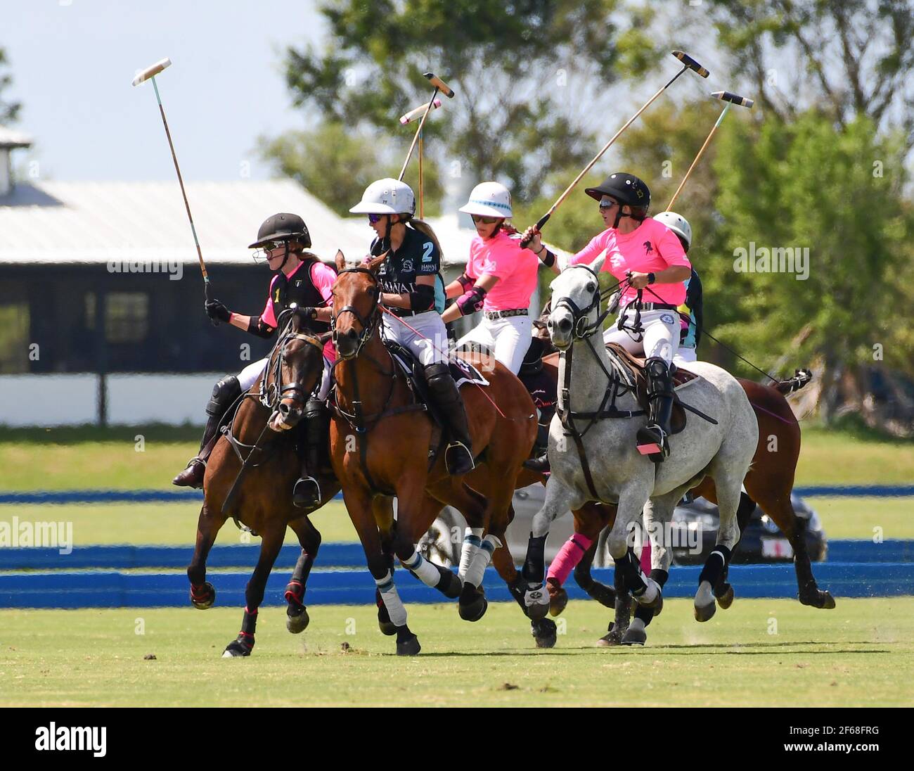 Sarah siegel magness hi-res stock photography and images - Alamy