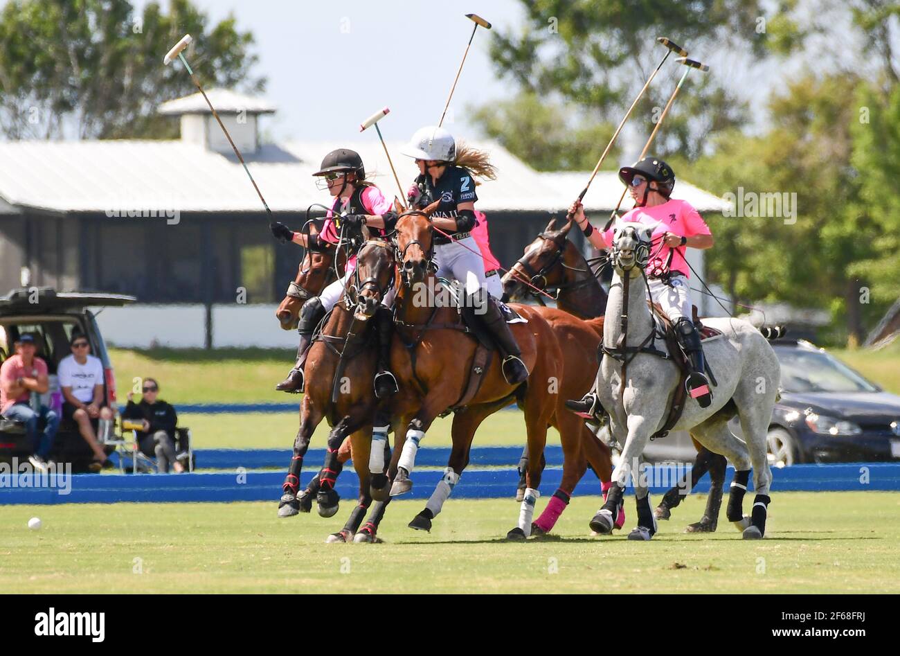 Sarah siegel magness hi-res stock photography and images - Alamy