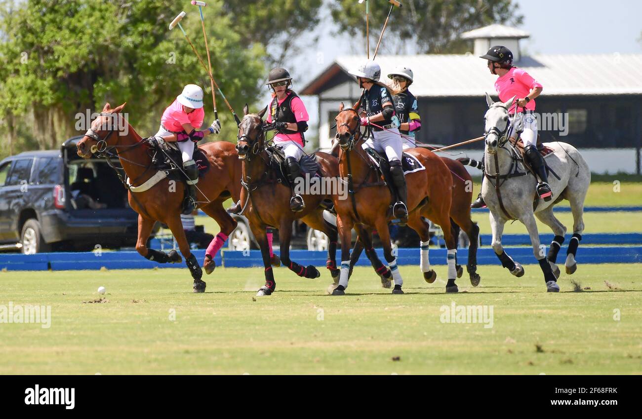 Sarah siegel magness hi-res stock photography and images - Alamy