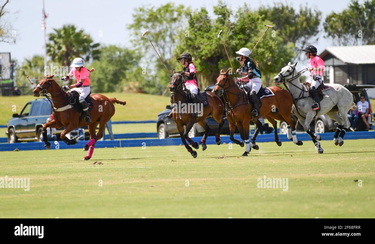 Sarah siegel magness hi-res stock photography and images - Alamy