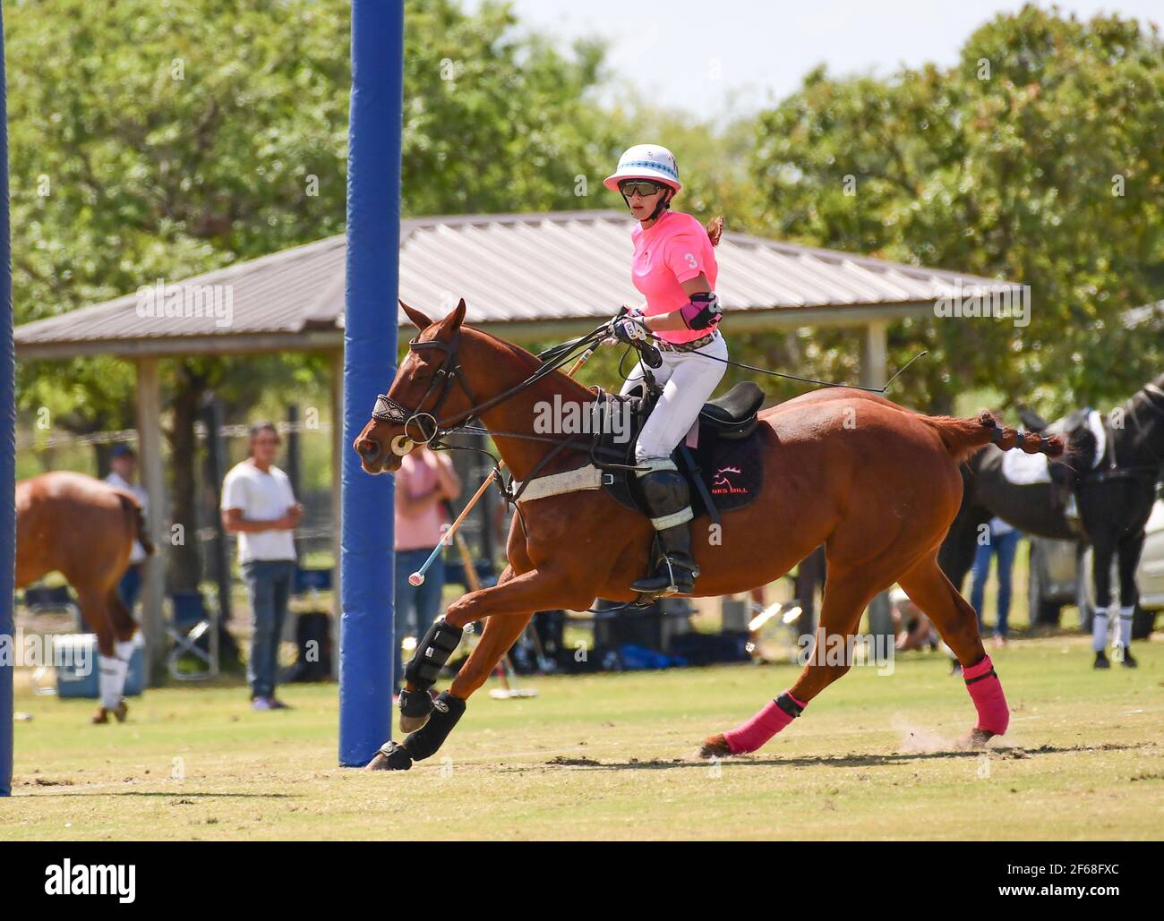 DUNDAS VS HAWAII POLO LIFE 2021 WOMENS POLO CHAMPIONSHIPS, held in Port ...