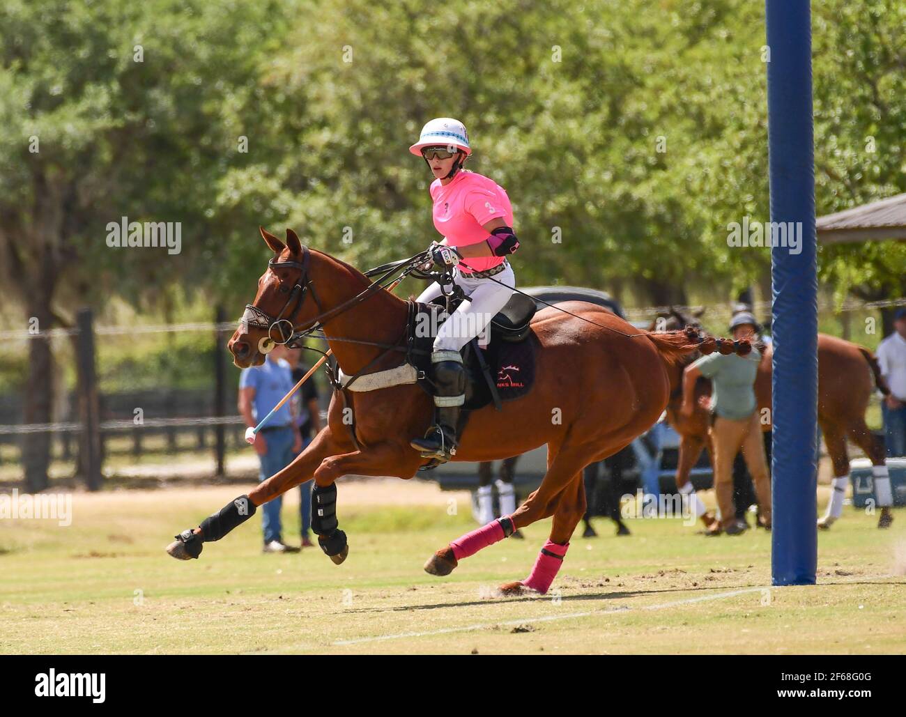 Hazel jackson polo hi-res stock photography and images - Alamy