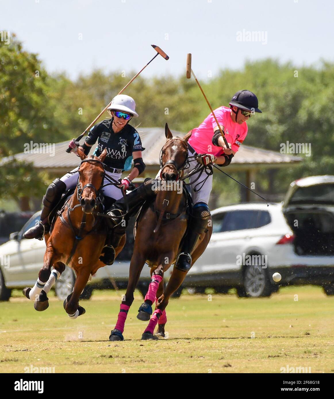 Sarah siegel magness hi-res stock photography and images - Alamy