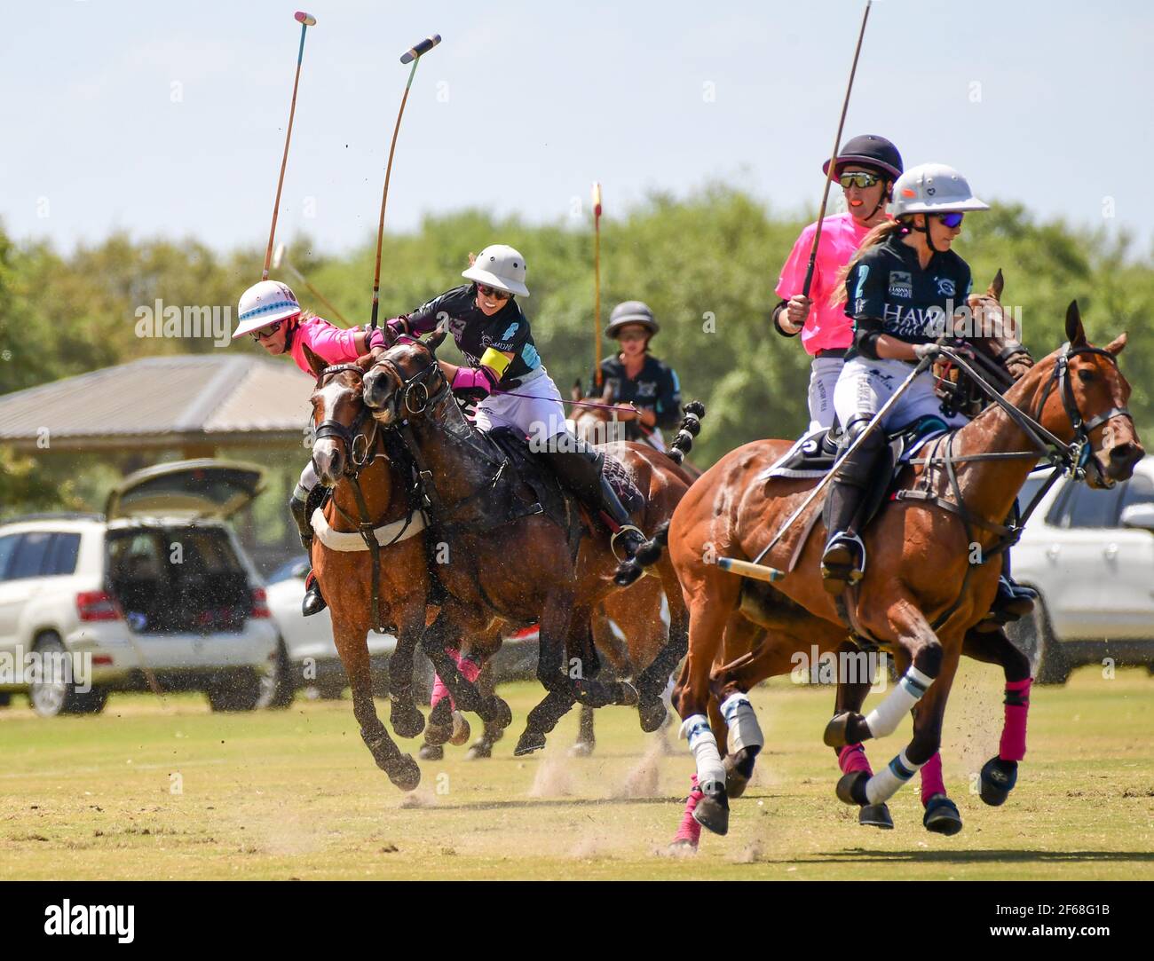 Dundas polo team hi-res stock photography and images - Alamy