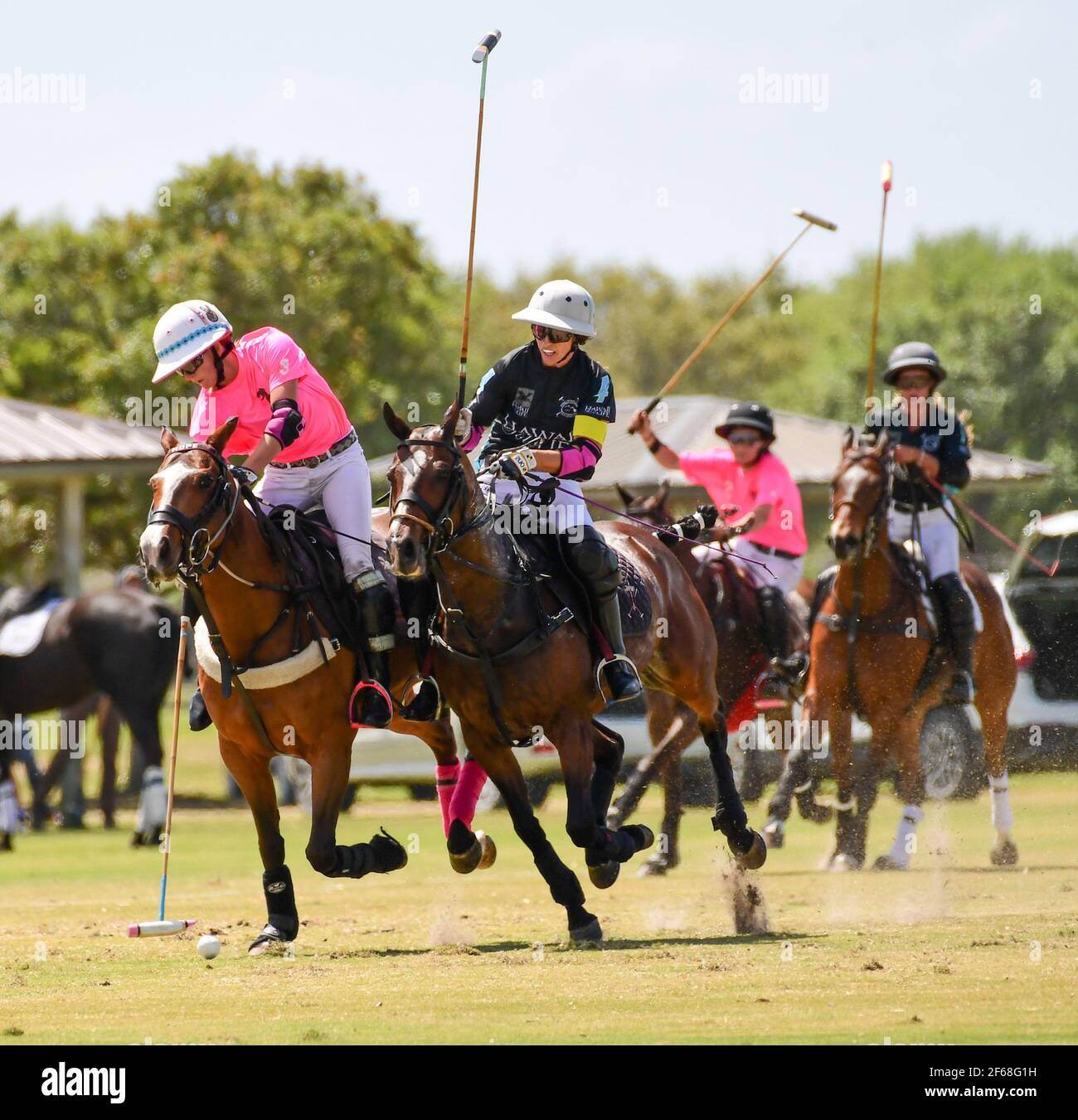 Sarah siegel magness hi-res stock photography and images - Alamy