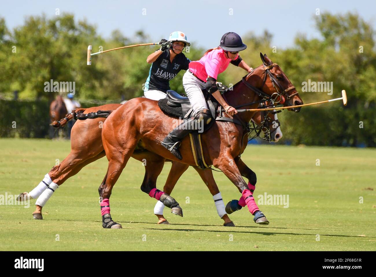 Sarah siegel magness hi-res stock photography and images - Alamy