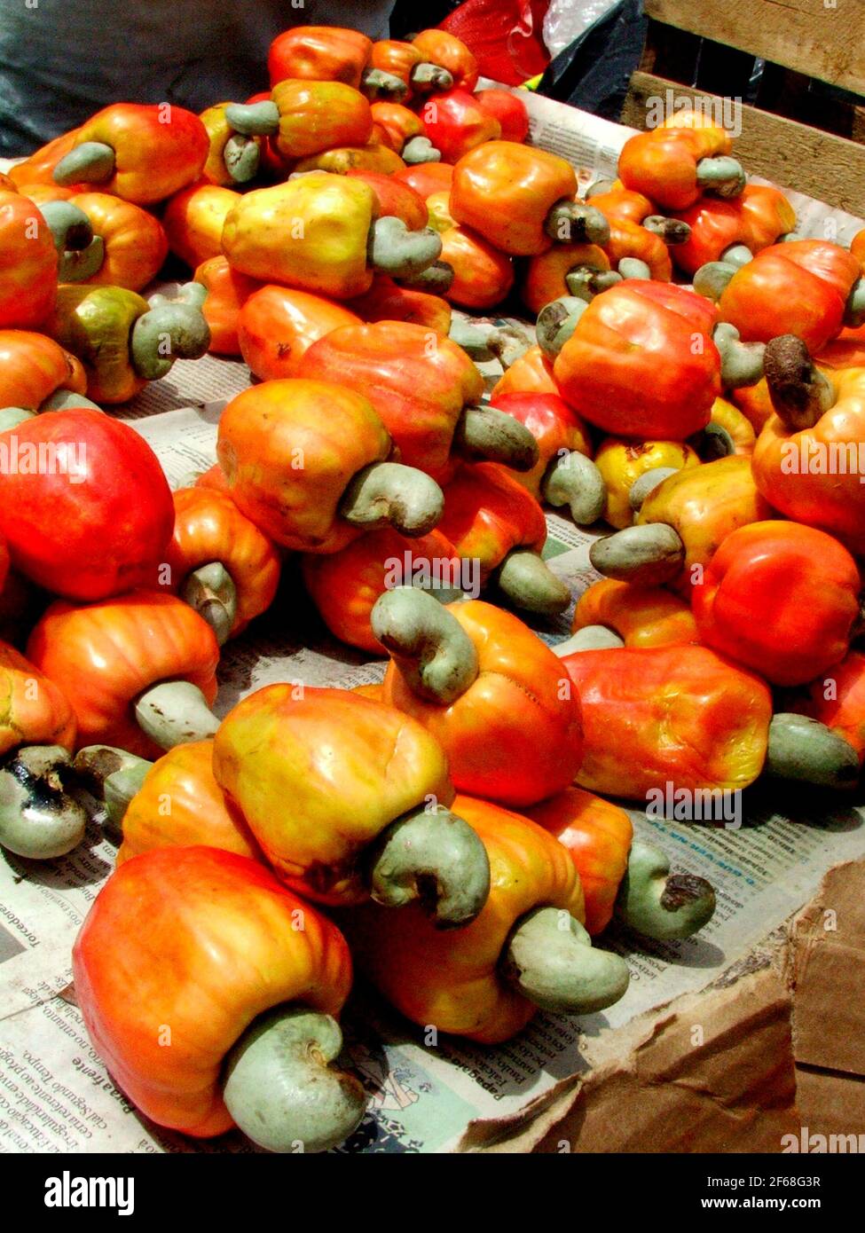 salvador, bahia / brazil - november 22, 2013: Cashew nuts are seen in ...