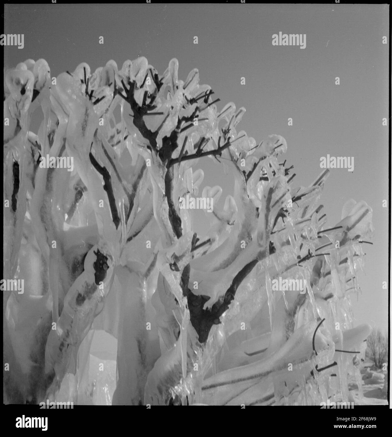 Ice formation Black and White Stock Photos & Images - Alamy