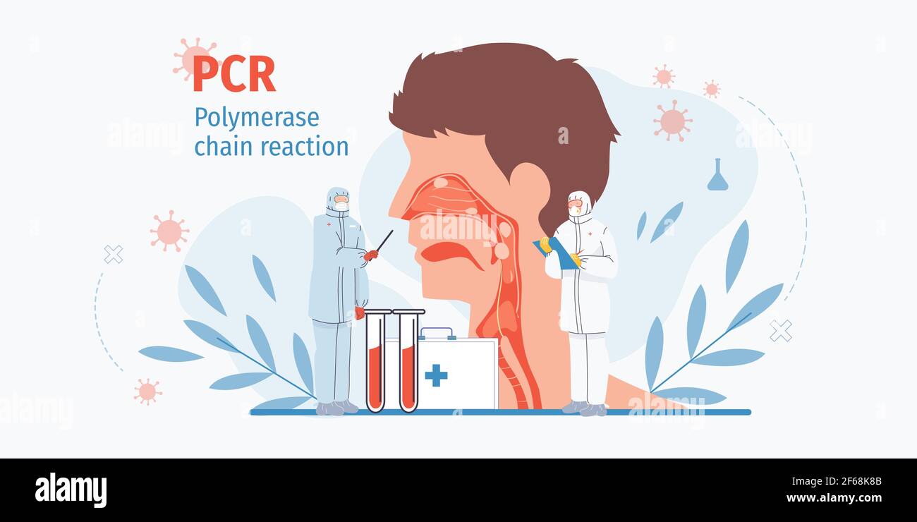 Flat cartoon doctor characters at work,PCR test coronavirus vector ...