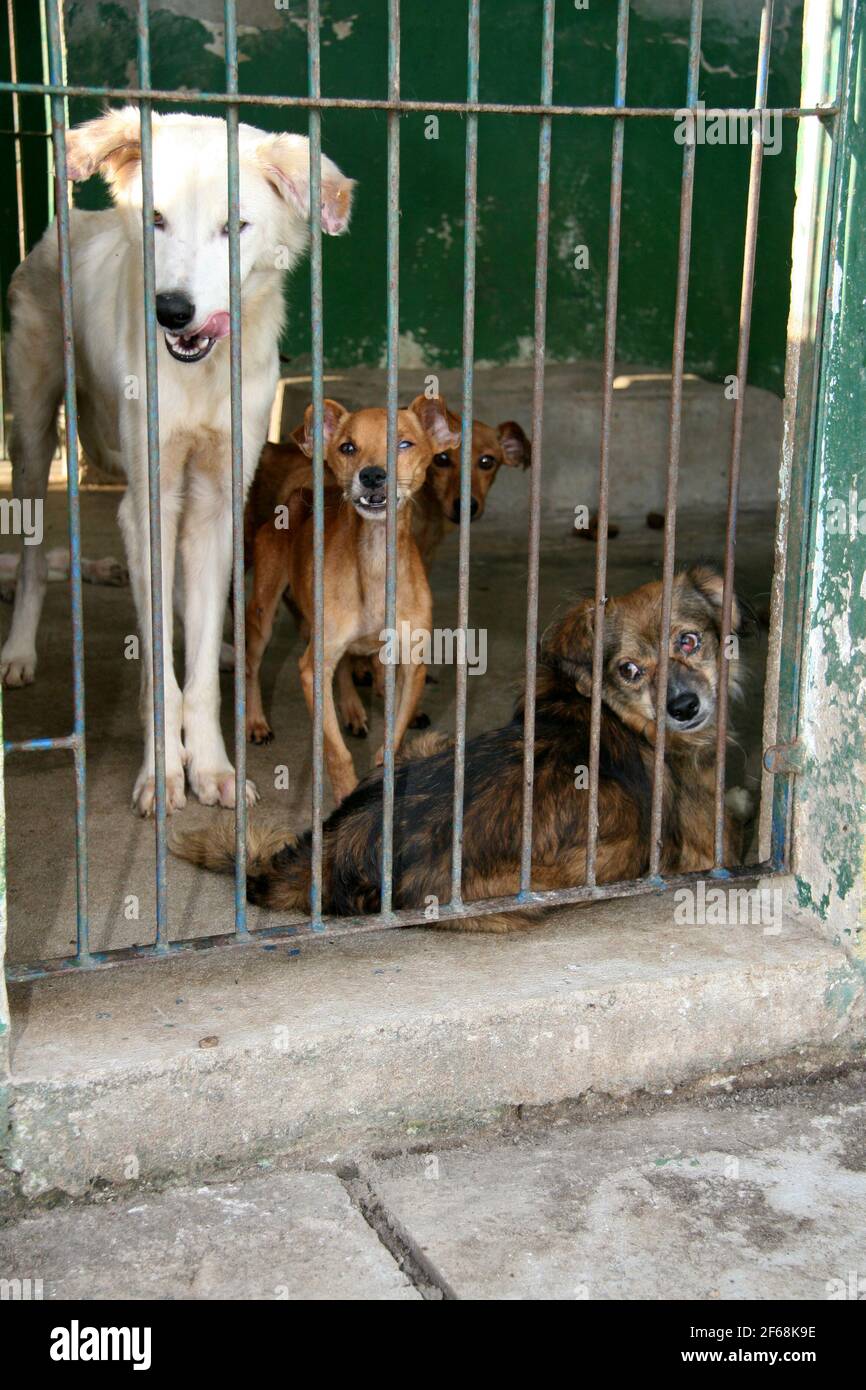 Angry hot dog hi-res stock photography and images - Alamy