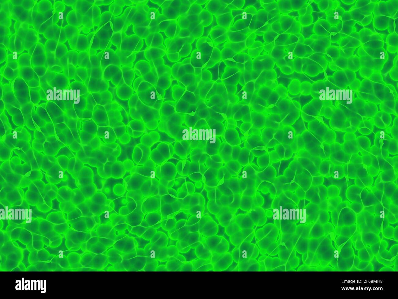 Transparent cells hi-res stock photography and images - Alamy