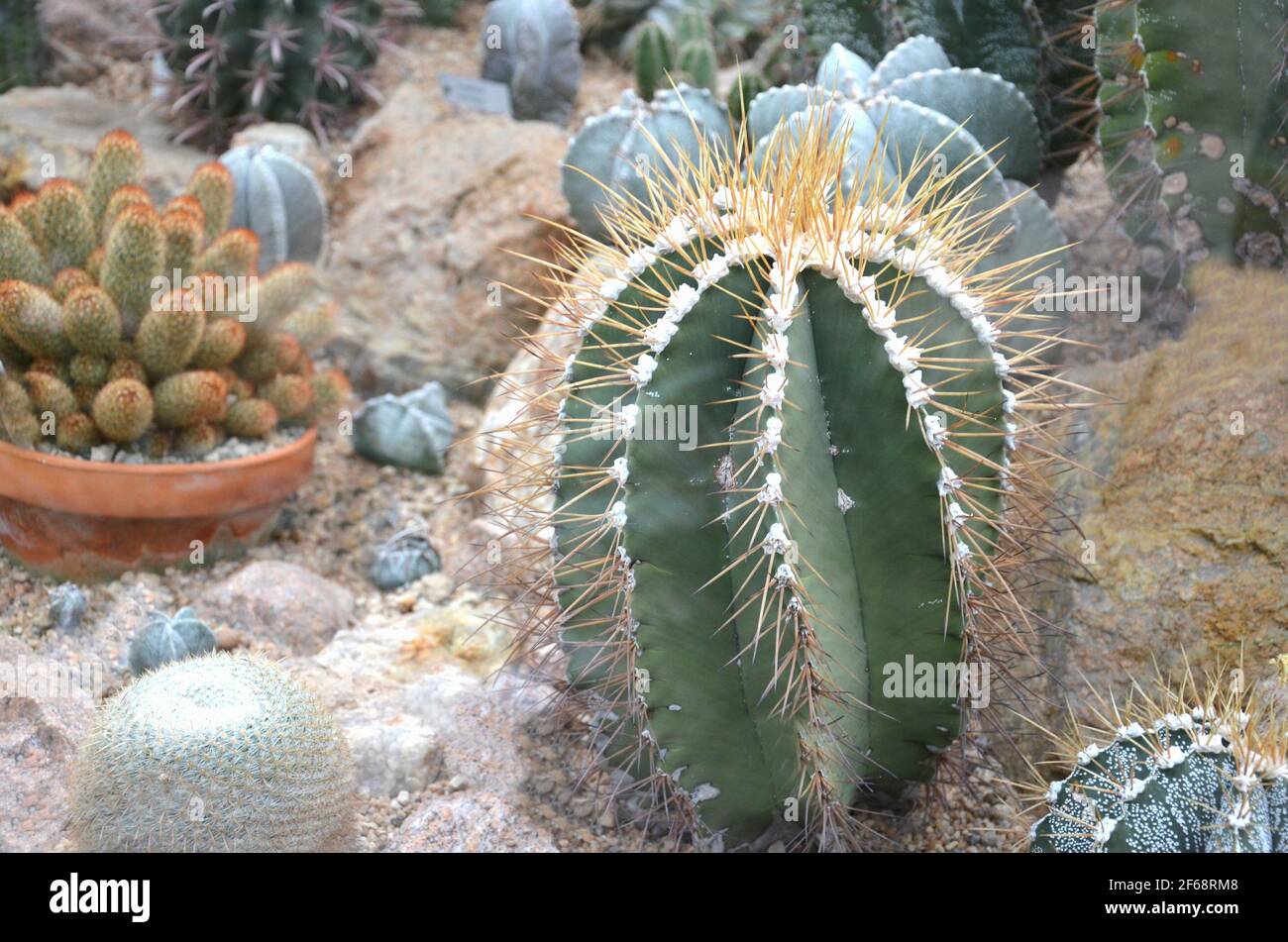 Big garden table hi-res stock photography and images - Alamy