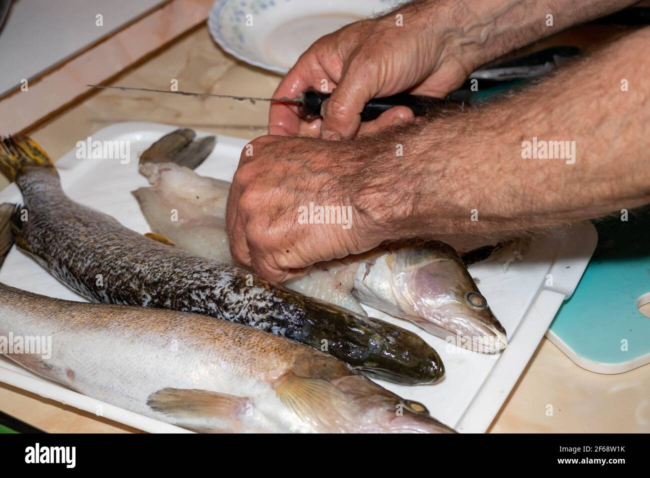 Hands slicing fish close up hi-res stock photography and images - Alamy