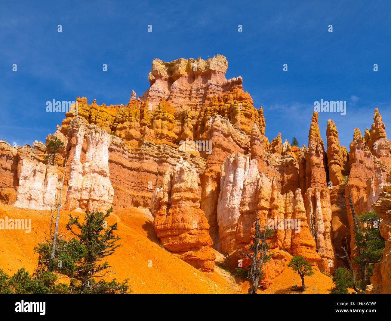 Bryce canyon detail hi-res stock photography and images - Alamy