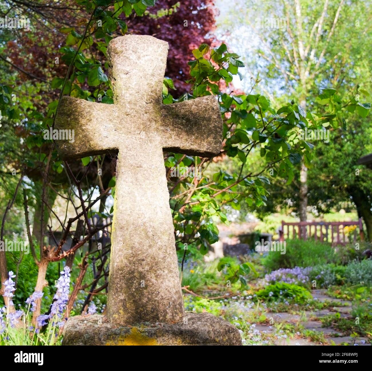 Christian tree of life hi-res stock photography and images - Alamy