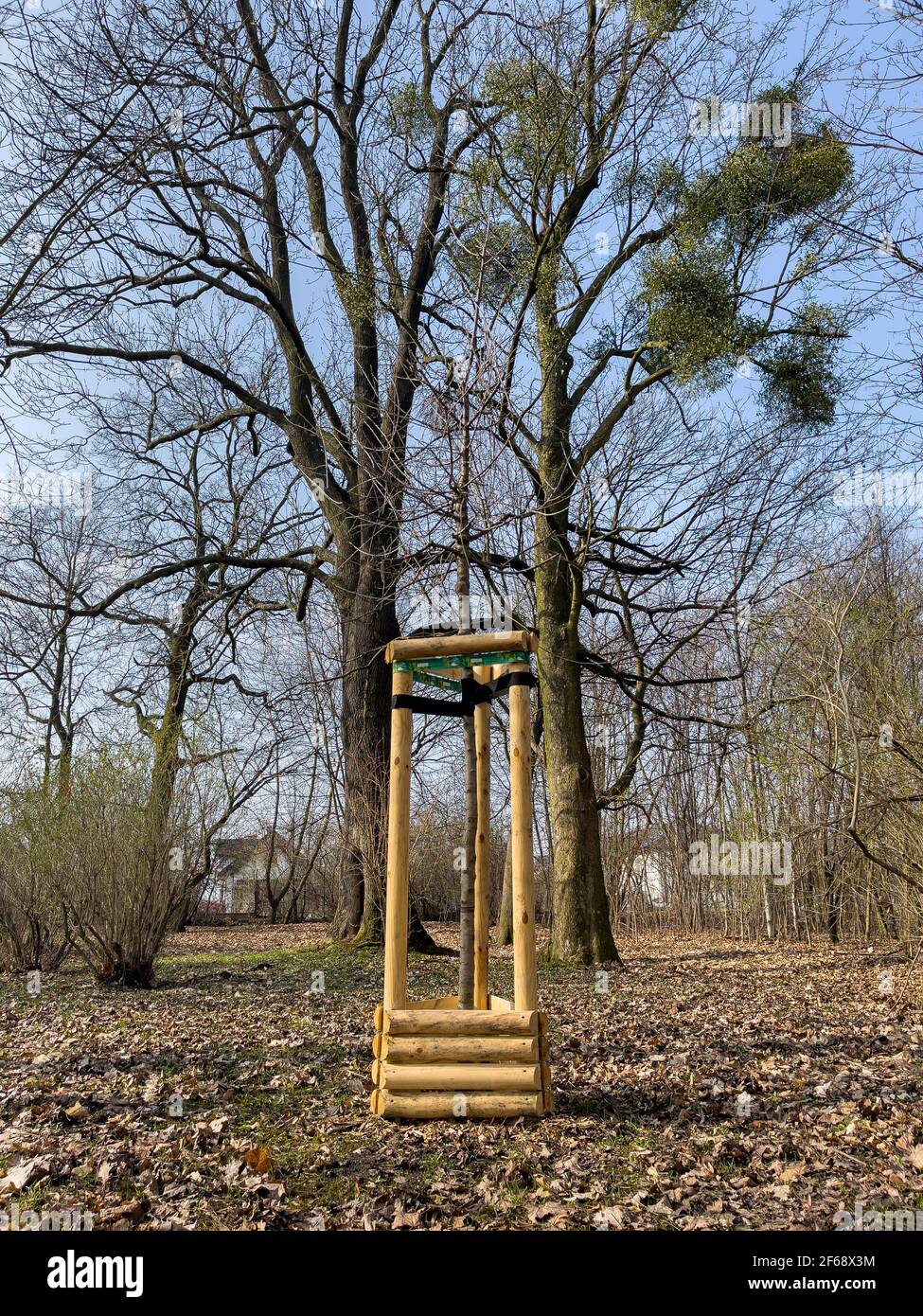 Planting trees in public city park at spring, concept of ecology and ...