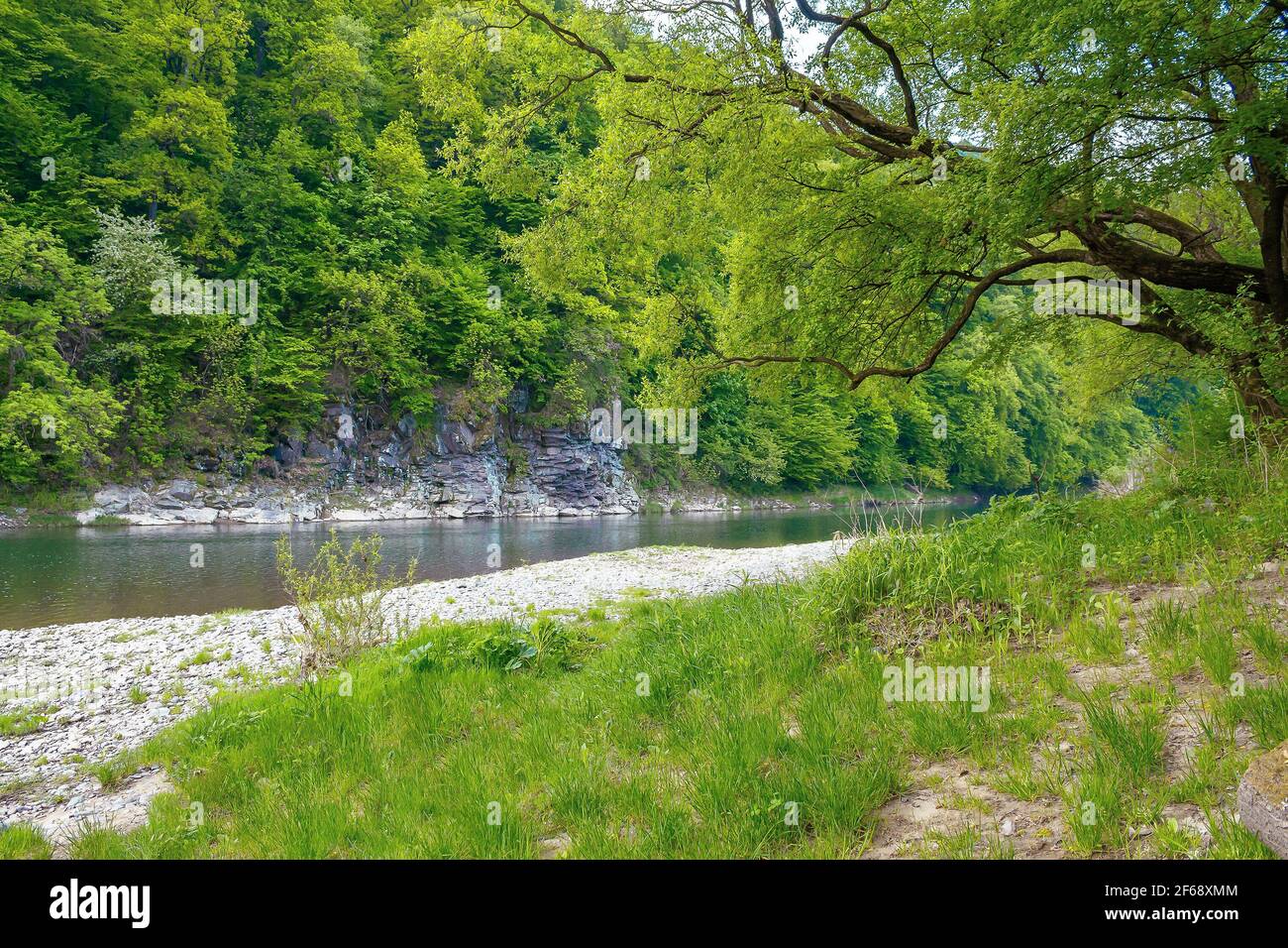 river flow under the rock. beautiful nature landscape in spring ...