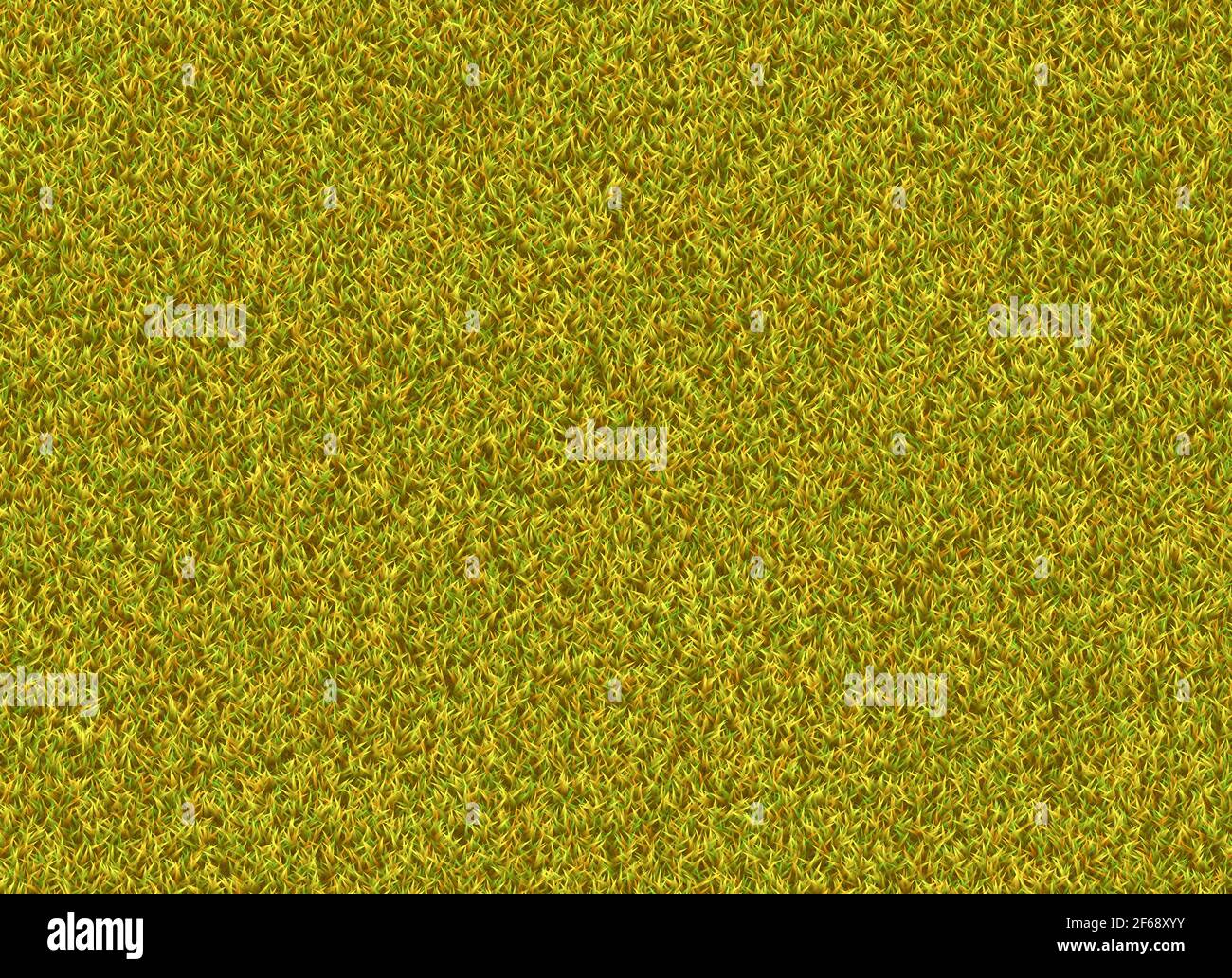 autumn grass background with yellow and green plant Stock Photo - Alamy