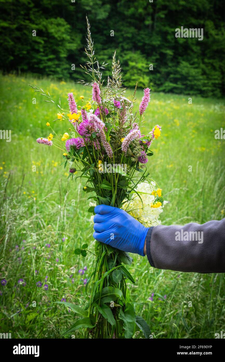 bunch of flowers collected in the countryside Stock Photo - Alamy