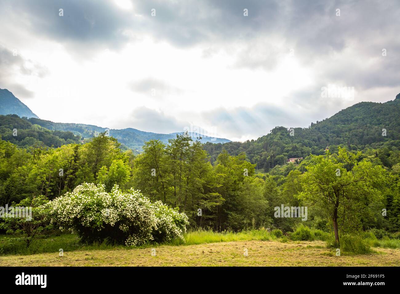 Spring time splendor hi-res stock photography and images - Alamy